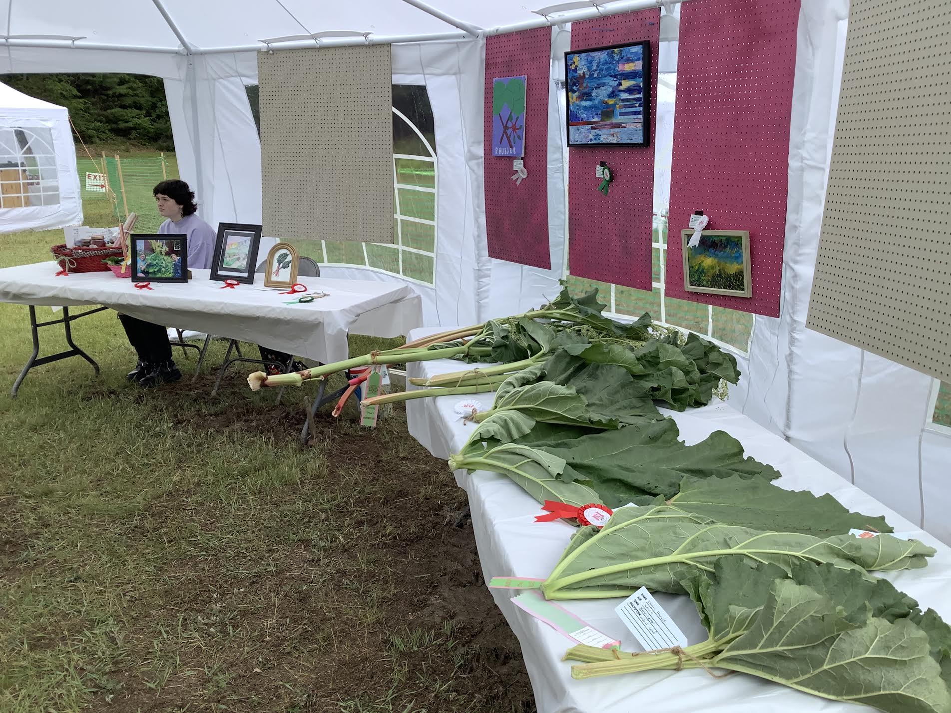 2023 Rhubarb Festival – benningtonnhRhubarbblog